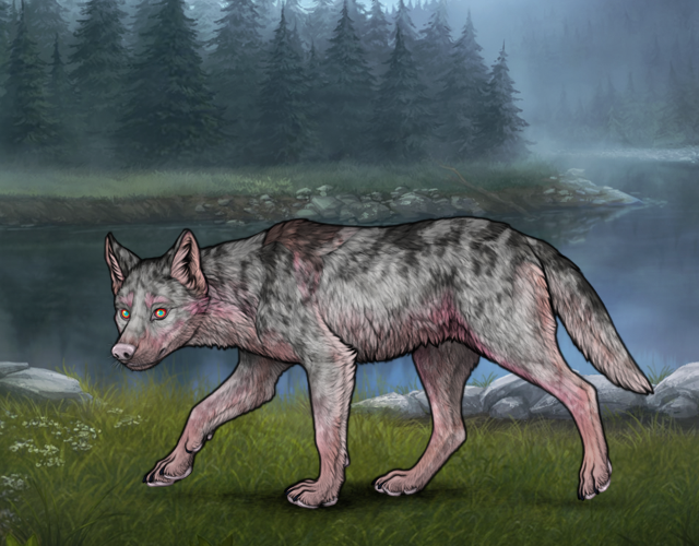 Gravel Male S |:| Wolvden