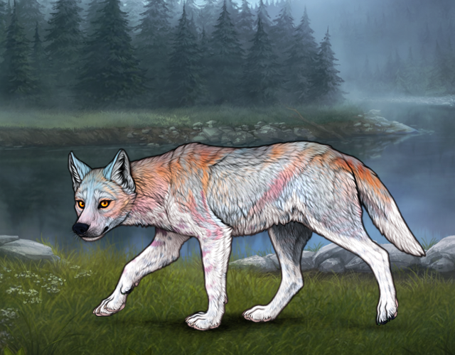 g4 zerdava |:| Wolvden