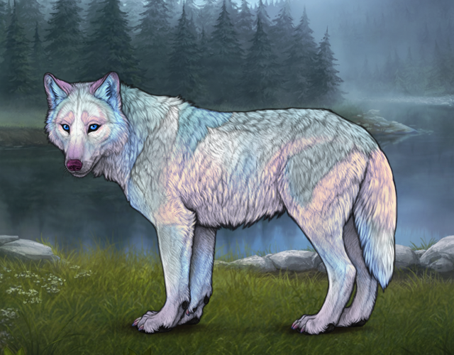 F AQUAMARINE BLUE 6m |:| Wolvden