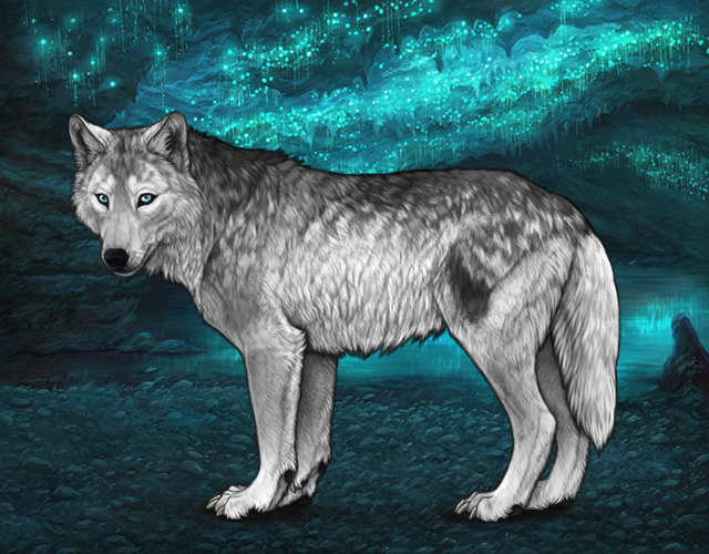 Cloud | F |:| Wolvden