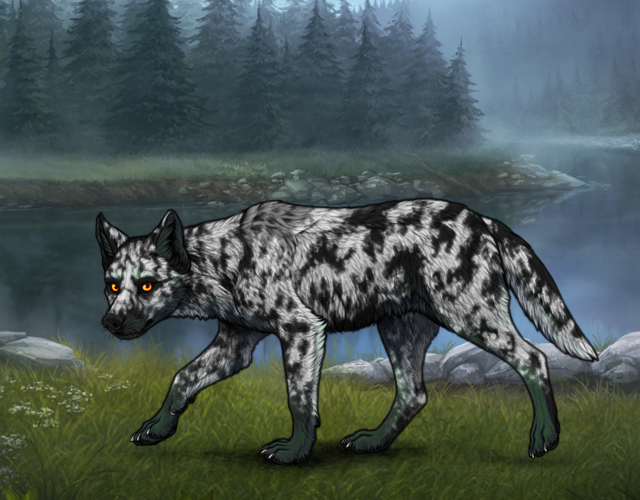 Ashen 2merle |:| Wolvden