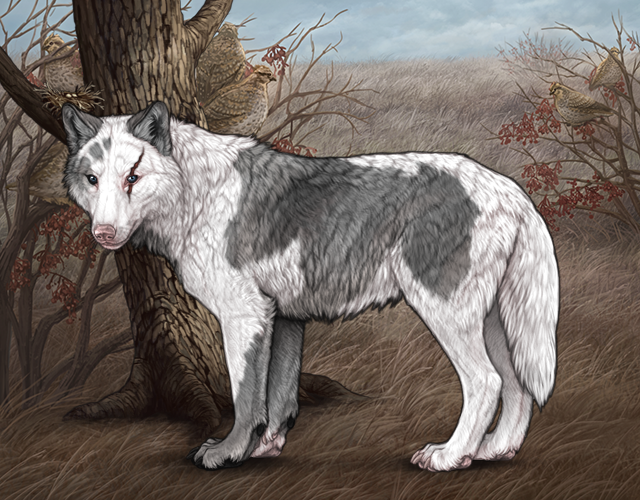 (F) T2 DIP (G3) Storm |:| Wolvden