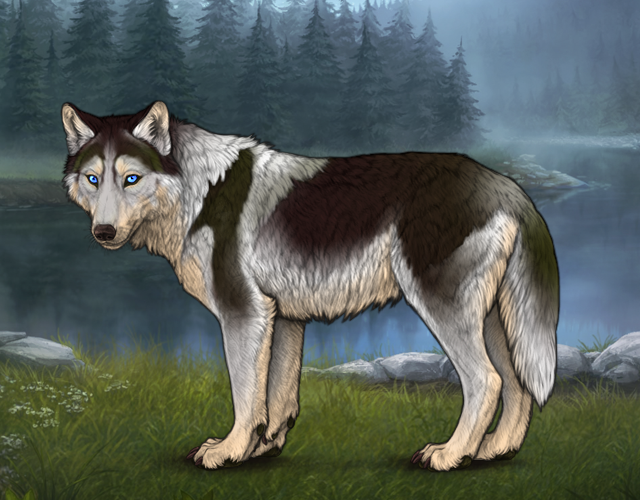 Chased Wolf Spotting - Revamped |:| Wolvden