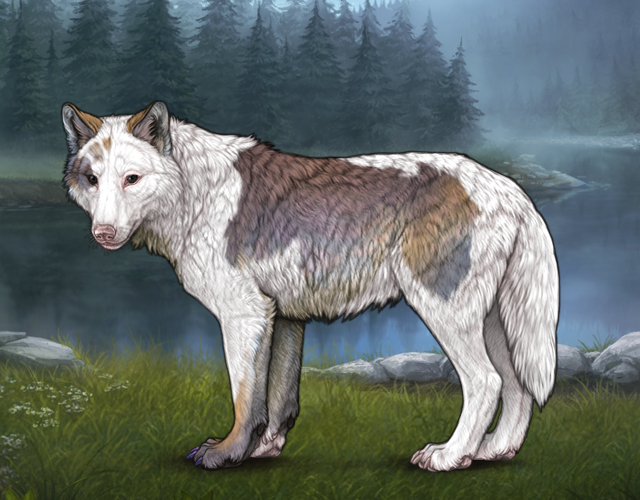 New Puppy |:| Wolvden