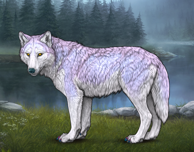 Blue Sky |:| Wolvden