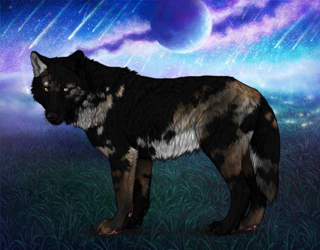 Casanova |:| Wolvden