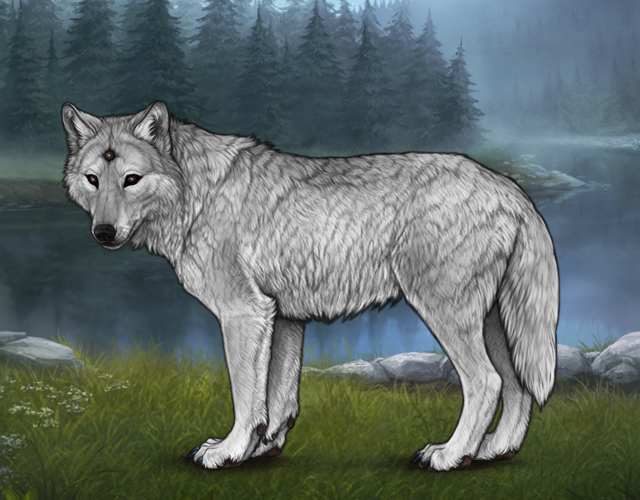 G1 | T2 3m DEclipse |:| Wolvden