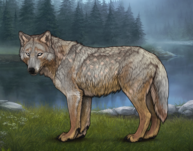 G3 T3 Flint |:| Wolvden