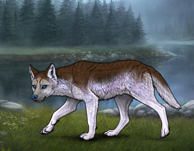 G3 T2 5m Hurricane eyes |:| Wolvden