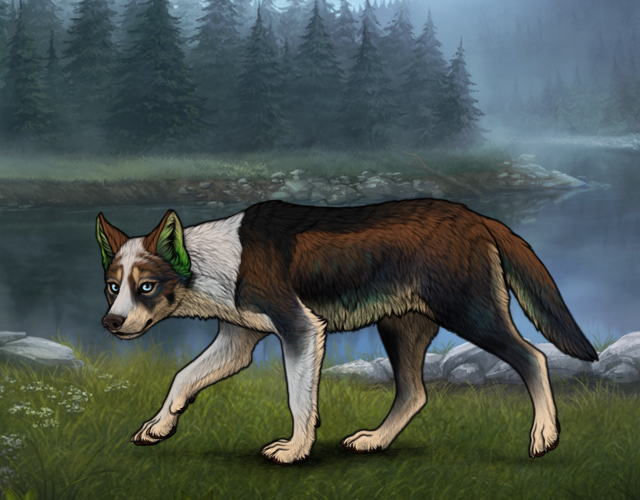 m denim II 7m ꒰ⁱᵛ꒱ |:| Wolvden