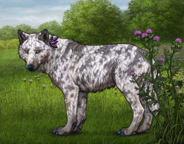Chased Wolf Spotting - Revamped |:| Wolvden