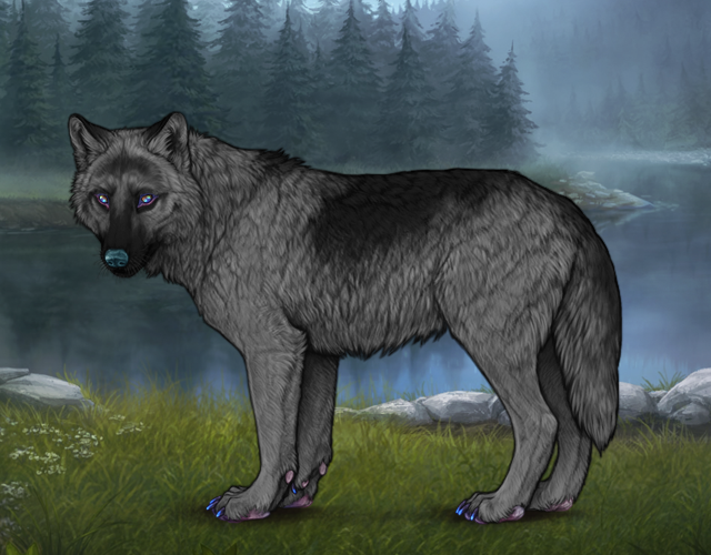 m onyx II 7m ꒰ⁱᵛ꒱ |:| Wolvden