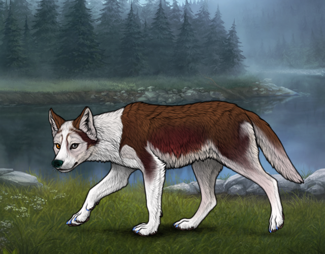 Chased Wolf Spotting - Revamped |:| Wolvden