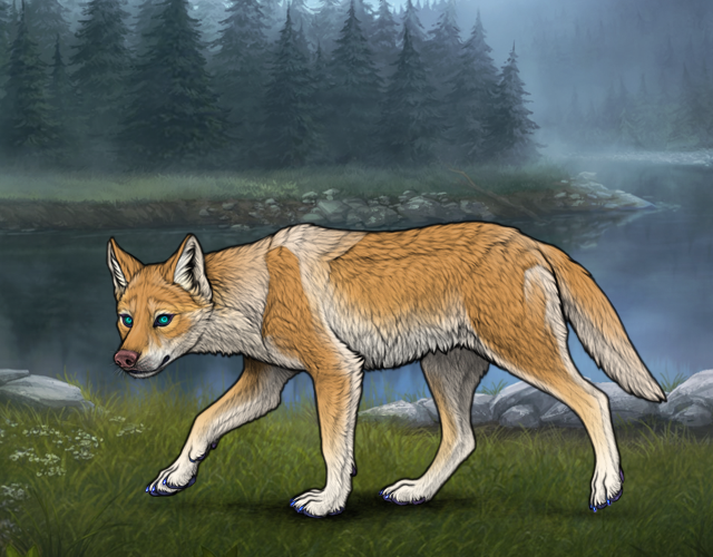 ashen ⭐ |:| Wolvden