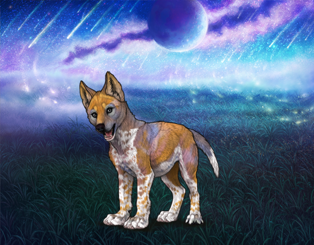 Zaria g3 |:| Wolvden