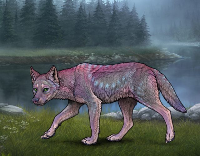 6m Tier II ( pink ) |:| Wolvden