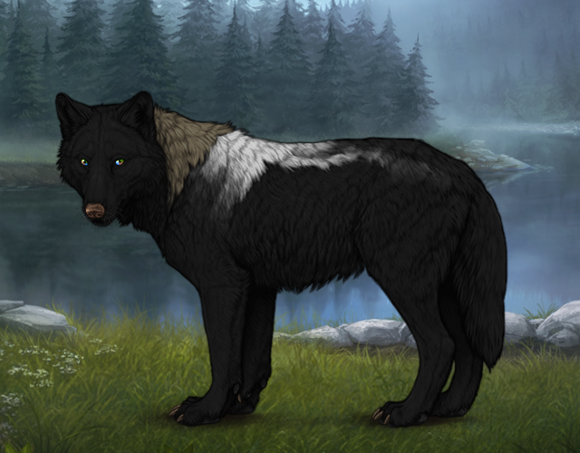 River'Eye |:| Wolvden