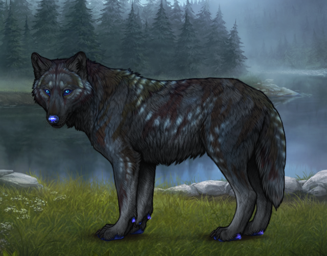 New Befriended Wolf |:| Wolvden