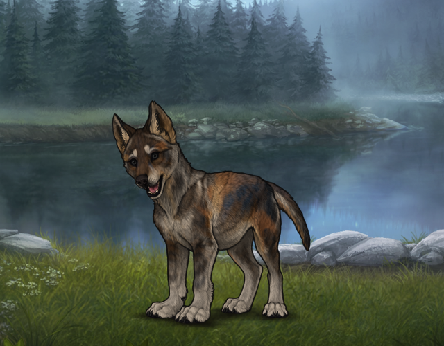 G4 Blueschist |:| Wolvden