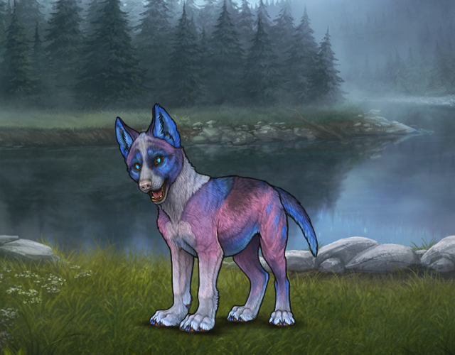 3M T3 Apex |:| Wolvden