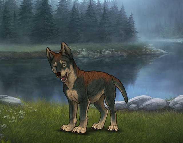 sell, T2, G3. |:| Wolvden