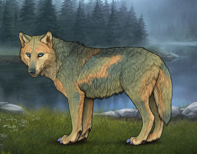 Chased Wolf Spotting - Revamped |:| Wolvden