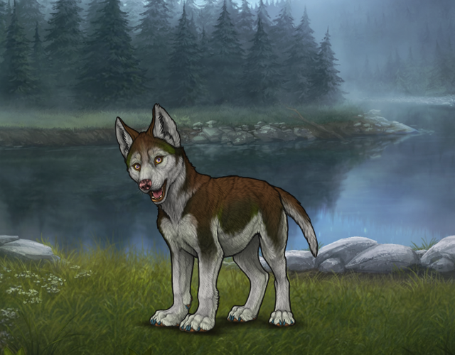 LF Colorbombs! |:| Wolvden