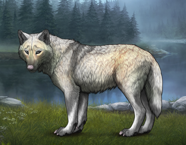 Pretty Pale 🐺 |:| Wolvden