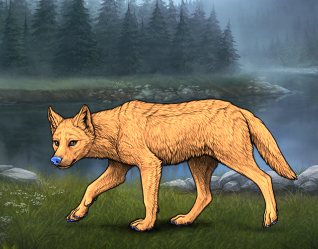 Caroline |:| Wolvden