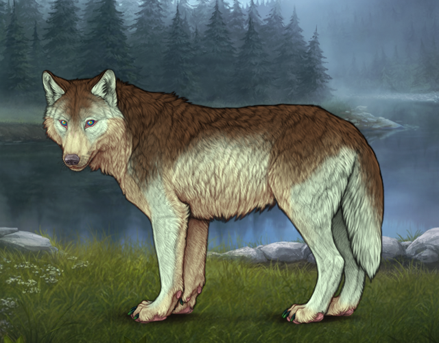 Chased Wolf Spotting - Revamped |:| Wolvden