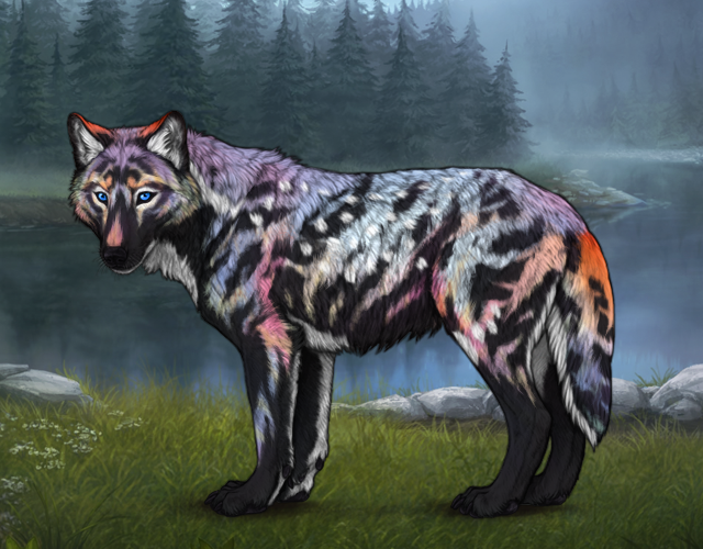 F Tll 6M G2 |:| Wolvden