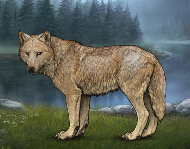 Zhu Hong |:| Wolvden