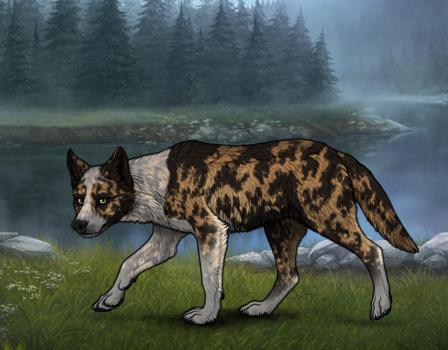 X5 MERLE!! |:| Wolvden