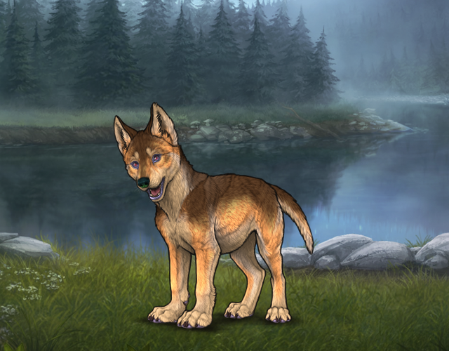 Titanium T2 - 4m |:| Wolvden