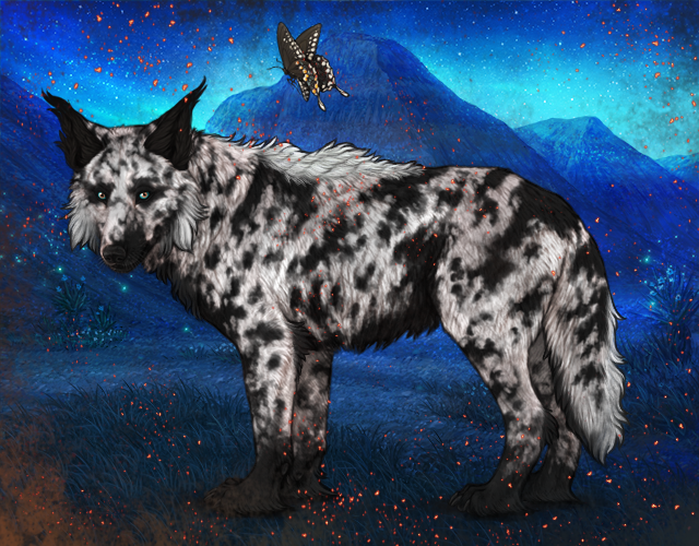 🟥Under the Starry Sky |:| Wolvden