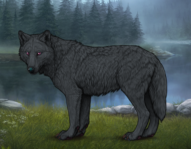 Firefly - M |:| Wolvden