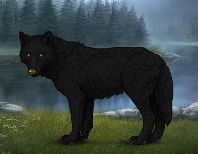 Shadowstalker |:| Wolvden