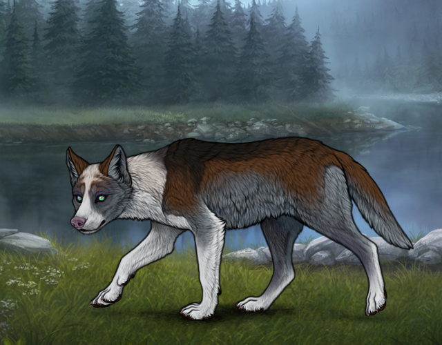 Grey Paw |:| Wolvden