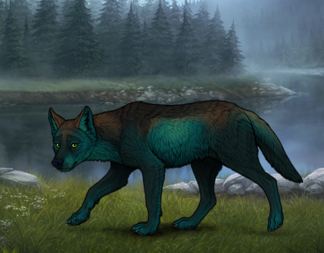New Befriended Wolf |:| Wolvden