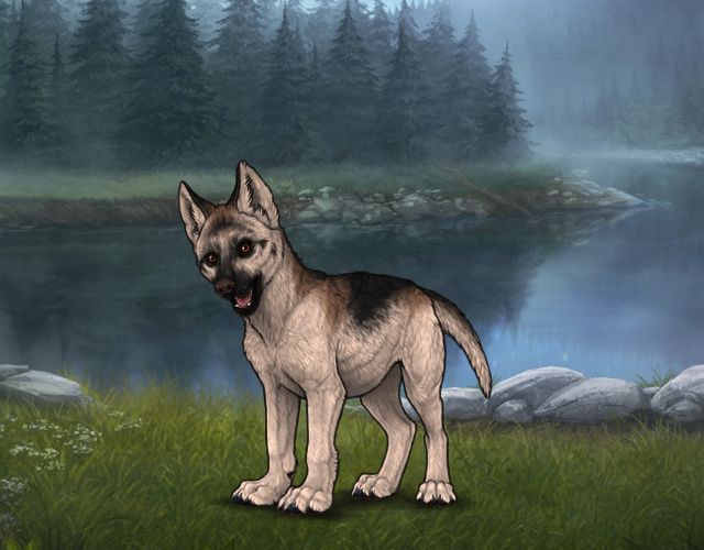 T2 Arkose 4M M |:| Wolvden