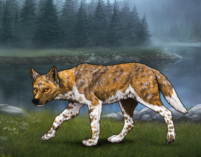 Zerdava G3 |:| Wolvden