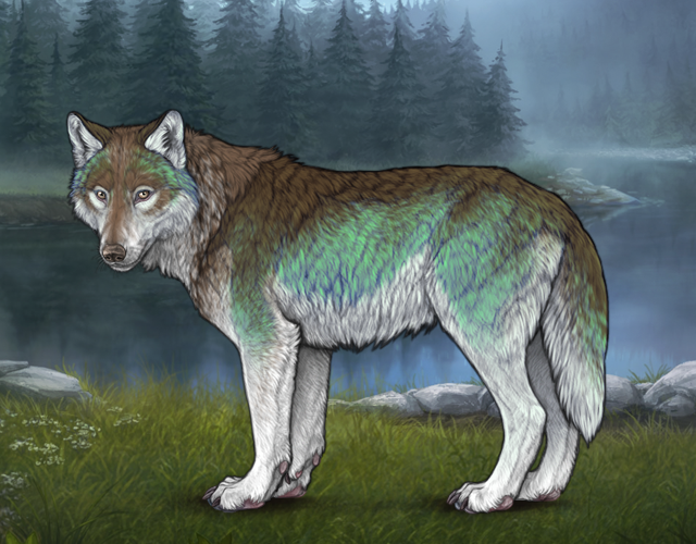 g2 fox 6m $ |:| Wolvden