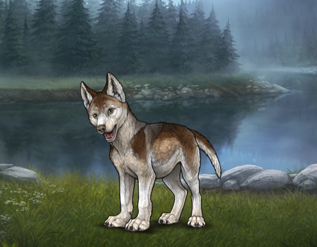 Female Dalmatian |:| Wolvden