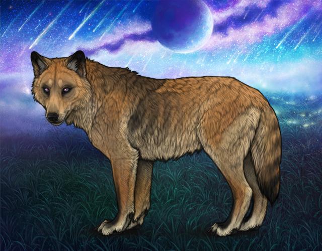 Nameless and Blameless |:| Wolvden