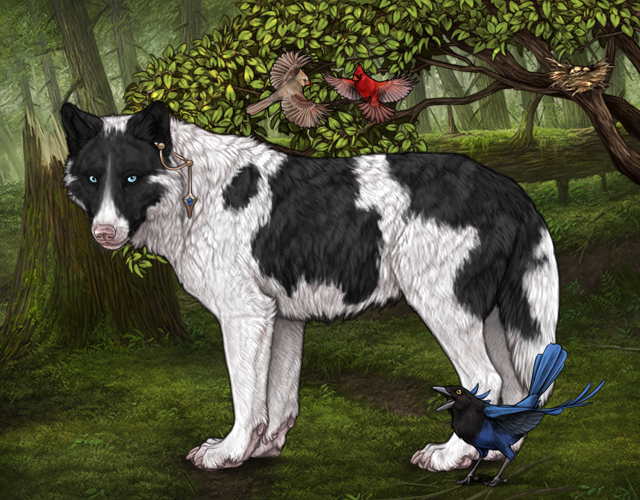 snow patch |:| Wolvden