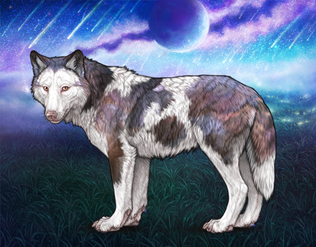 𝙰𝚖𝚊𝚛𝚘𝚔- Alb carrier |:| Wolvden