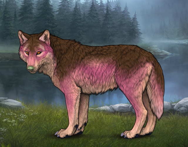 G3 Caribou STR/AGI |:| Wolvden