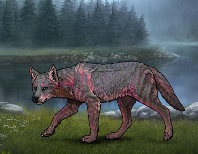 T1 Gray 5M |:| Wolvden