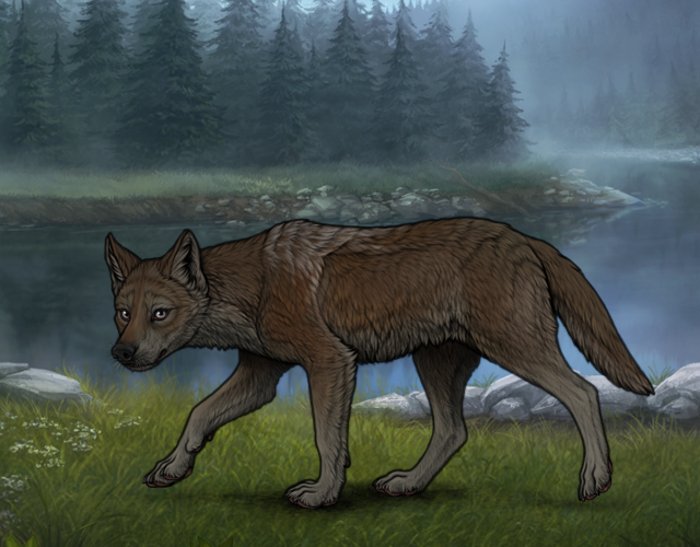 New Puppy |:| Wolvden