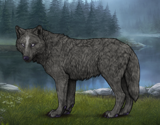 Silver Pup |:| Wolvden